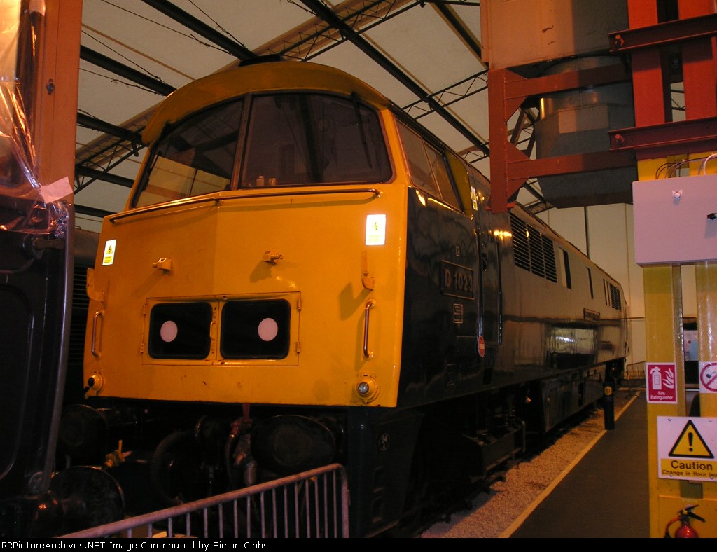 D1023 Western Fusilier